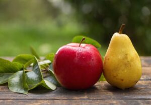 South Africa’s apple and pear exports to rise again – Paltrack ...