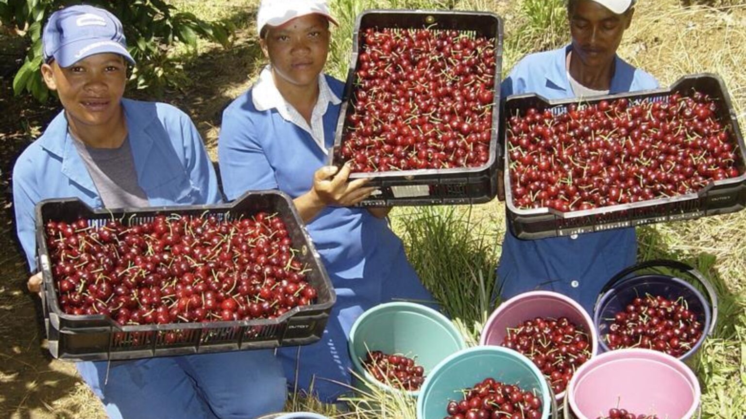 South Africa secures China stonefruit protocol while agriculture ...